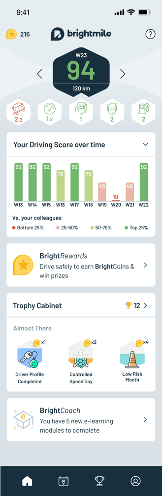 What is my overall Driving Score and what does it mean?